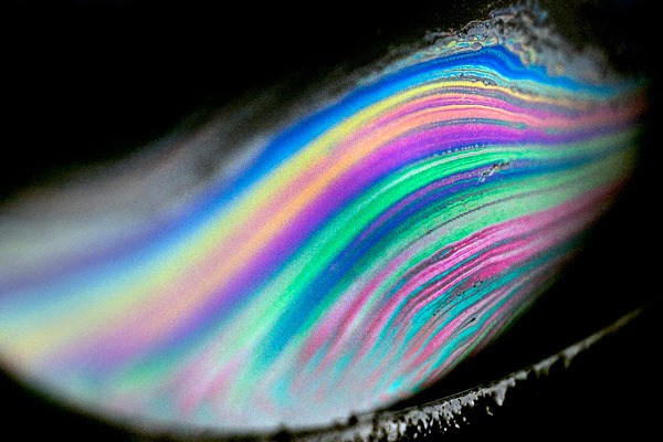 Peter Fisher celebrates 'Iridescence' at gallery | Islands' Sounder