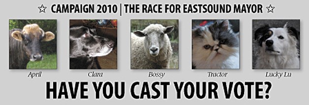 The race is on: Eastsound mayor candidates make their bid | Islands ...