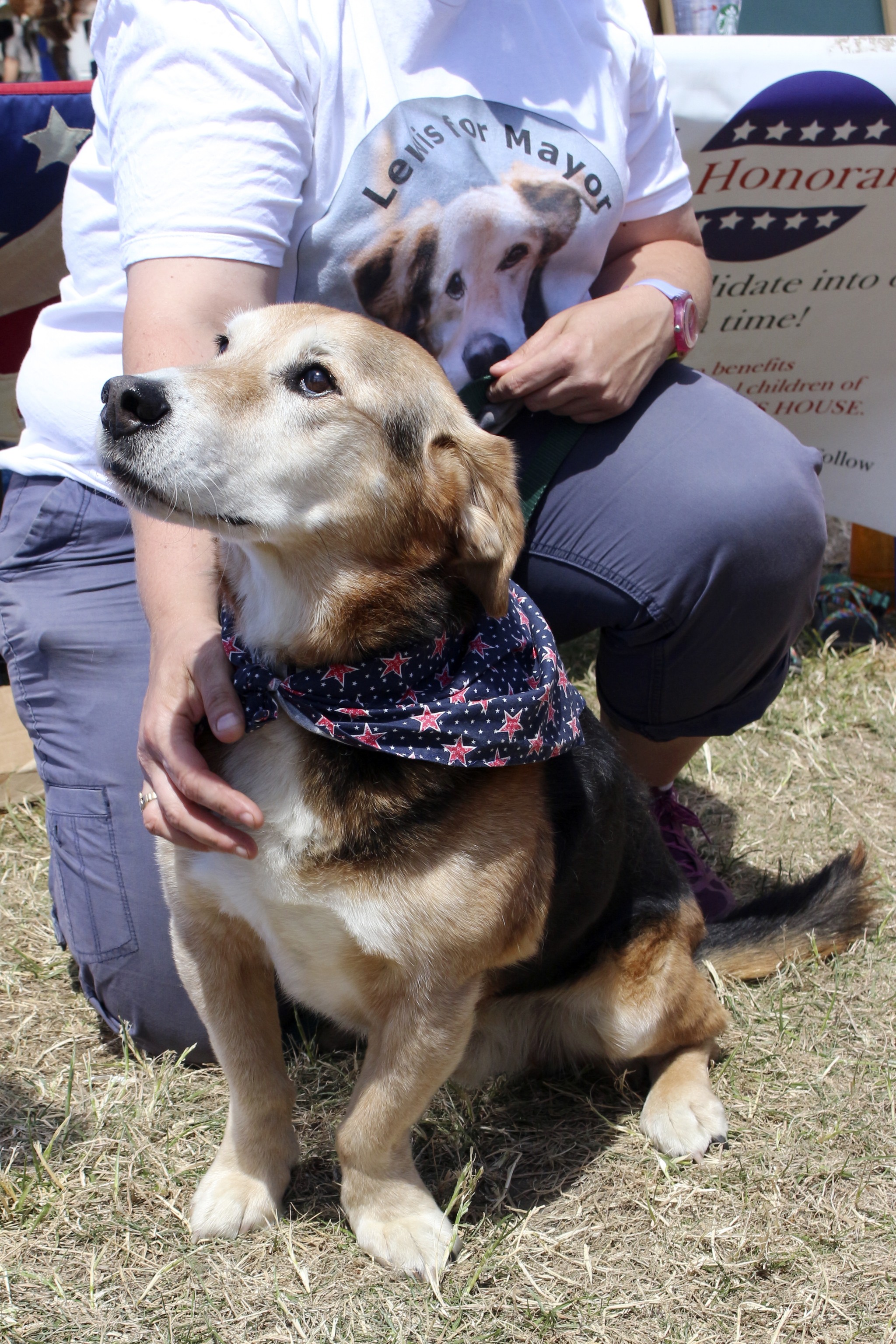 Lewis named new mayor of Eastsound | Islands' Sounder