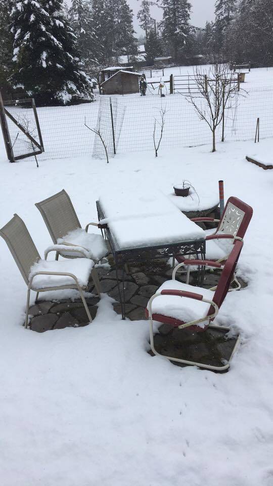 A wintery wonderland | Gallery | Islands' Sounder