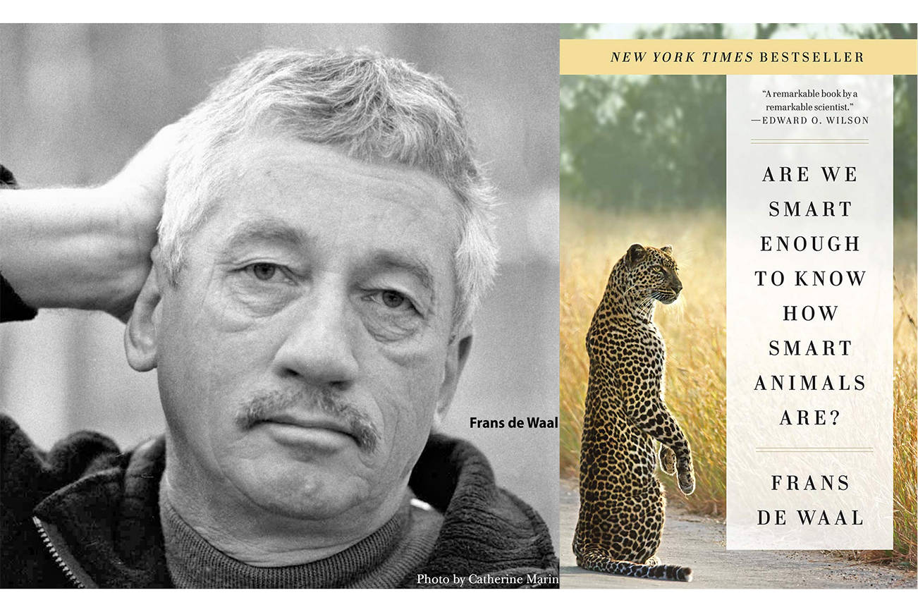 Renowned scientist Frans de Waal talks animal intellect | Islands' Sounder