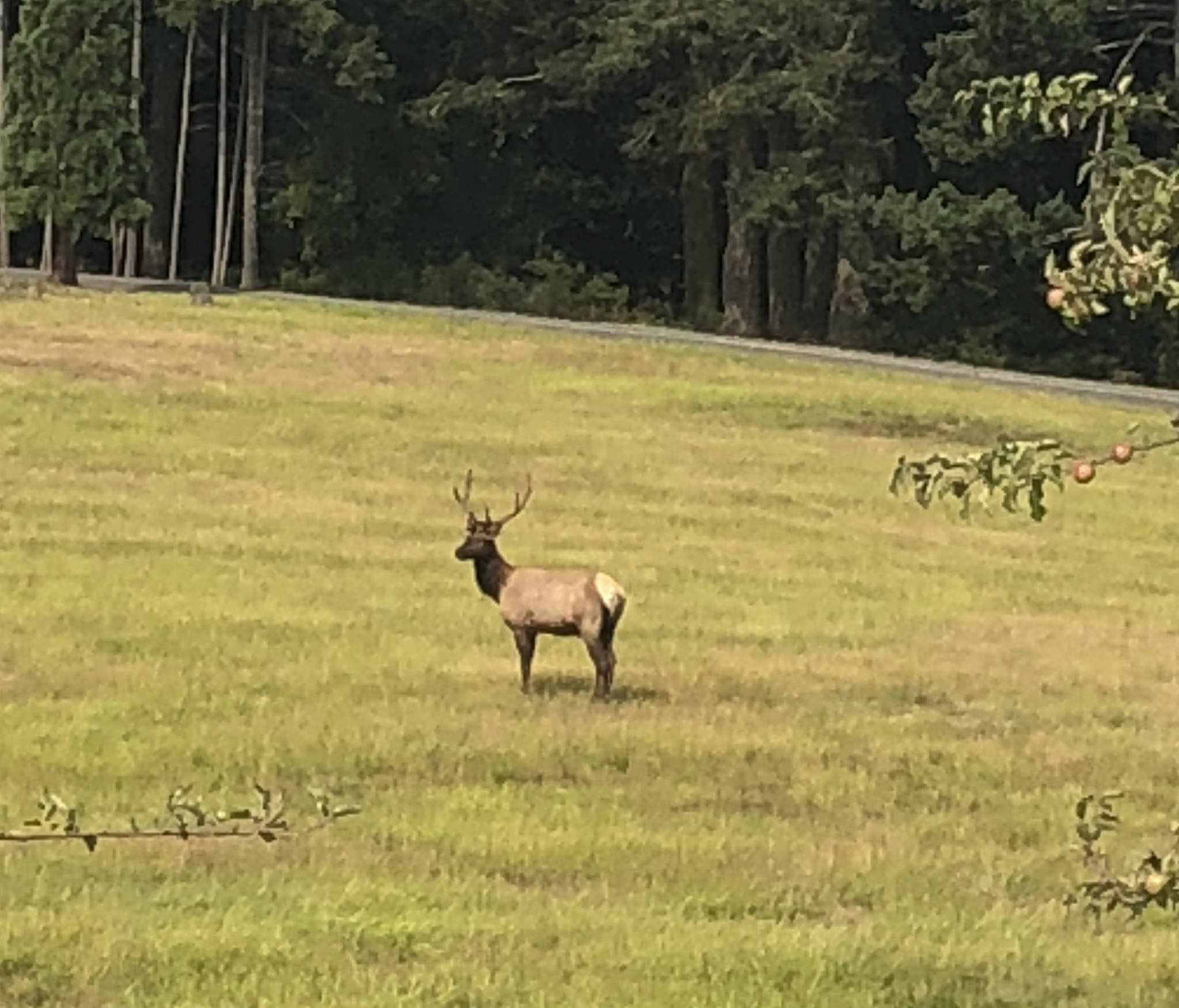 Top 10 stories of 2018 | Part 2 | Islands' Sounder