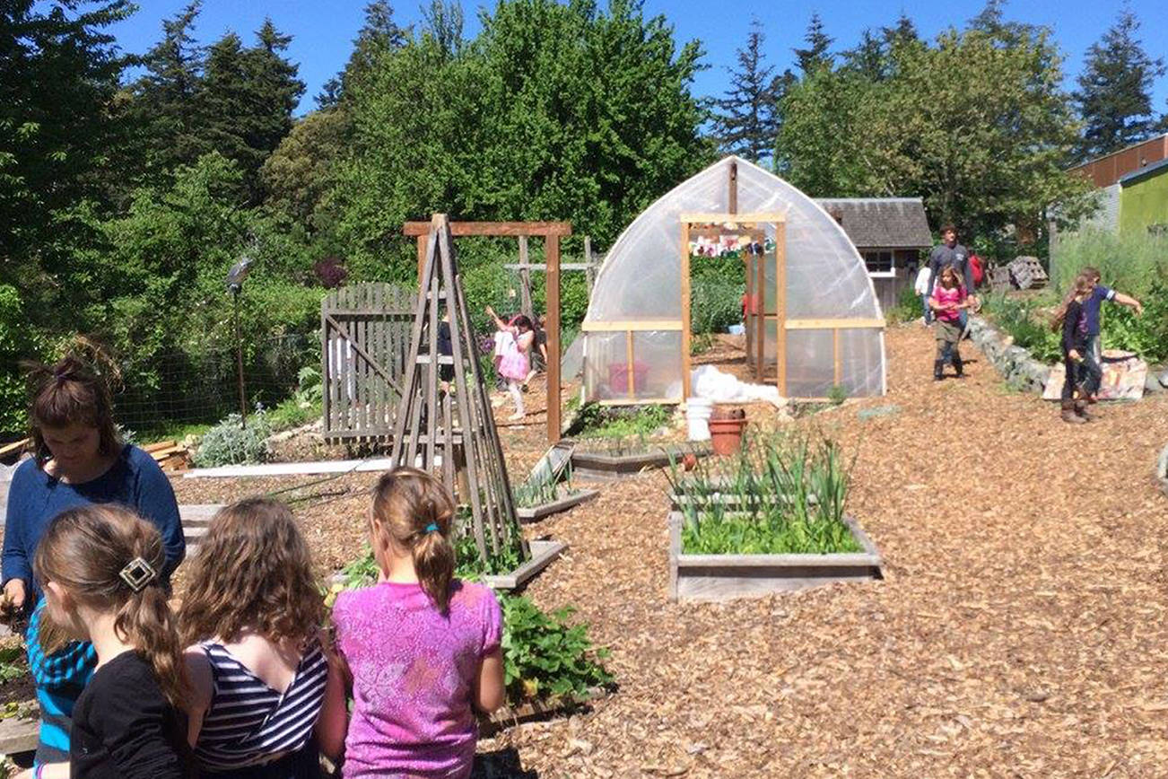 Farm to Classroom program seeking new greenhouse | Islands' Sounder