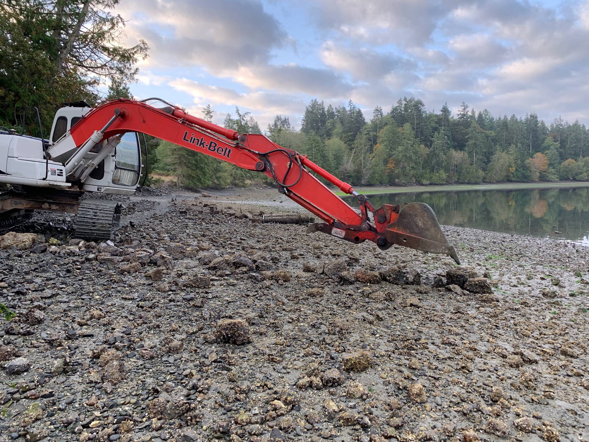 Restoring forage fish habitat | Islands' Sounder