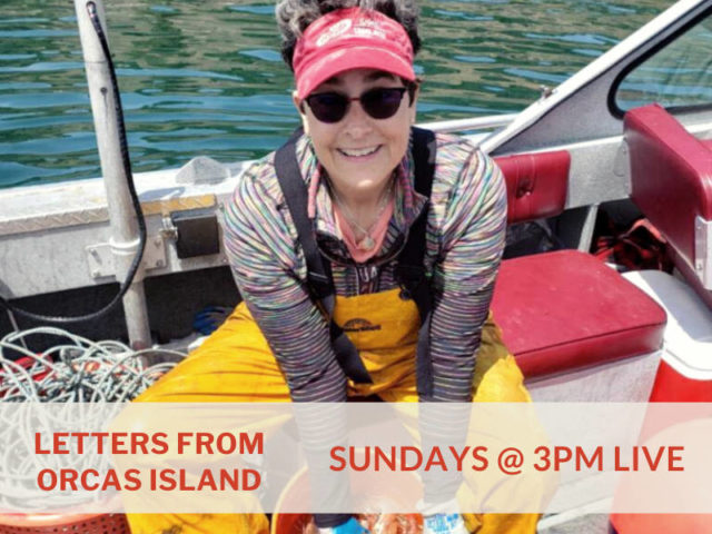 We are the ones: Letters from Orcas Island | Islands' Sounder