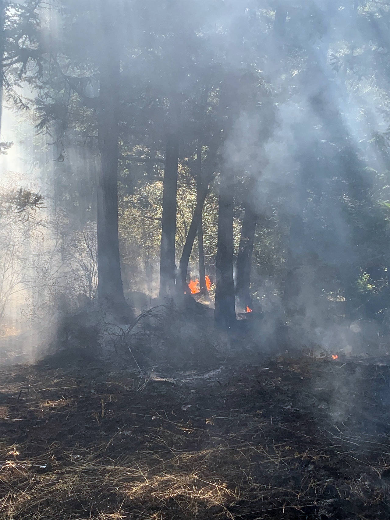Orcas, Lopez and San Juan Fire team up with DNR for wildfire | Islands ...