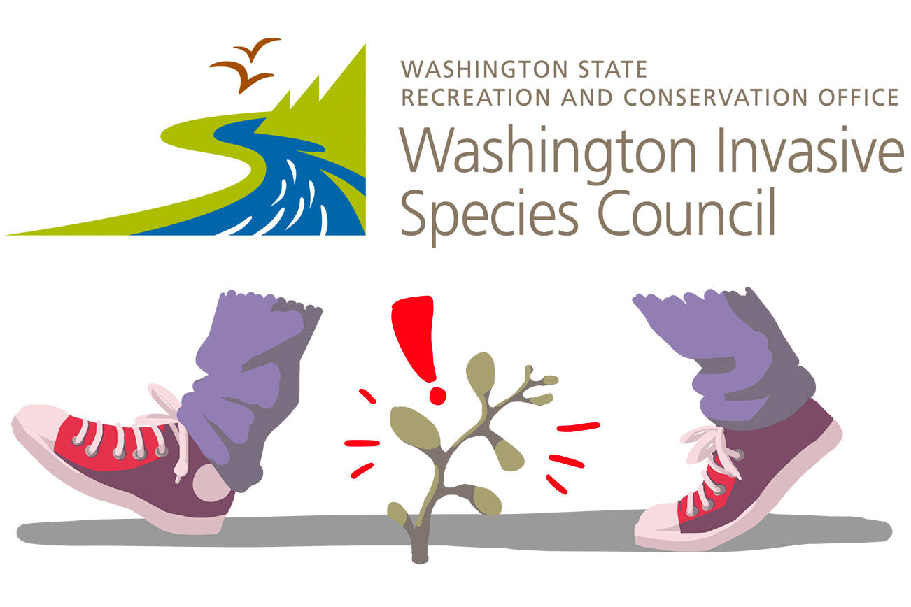 Invasive Species Awareness Week, Feb. 22-28 | Islands' Sounder