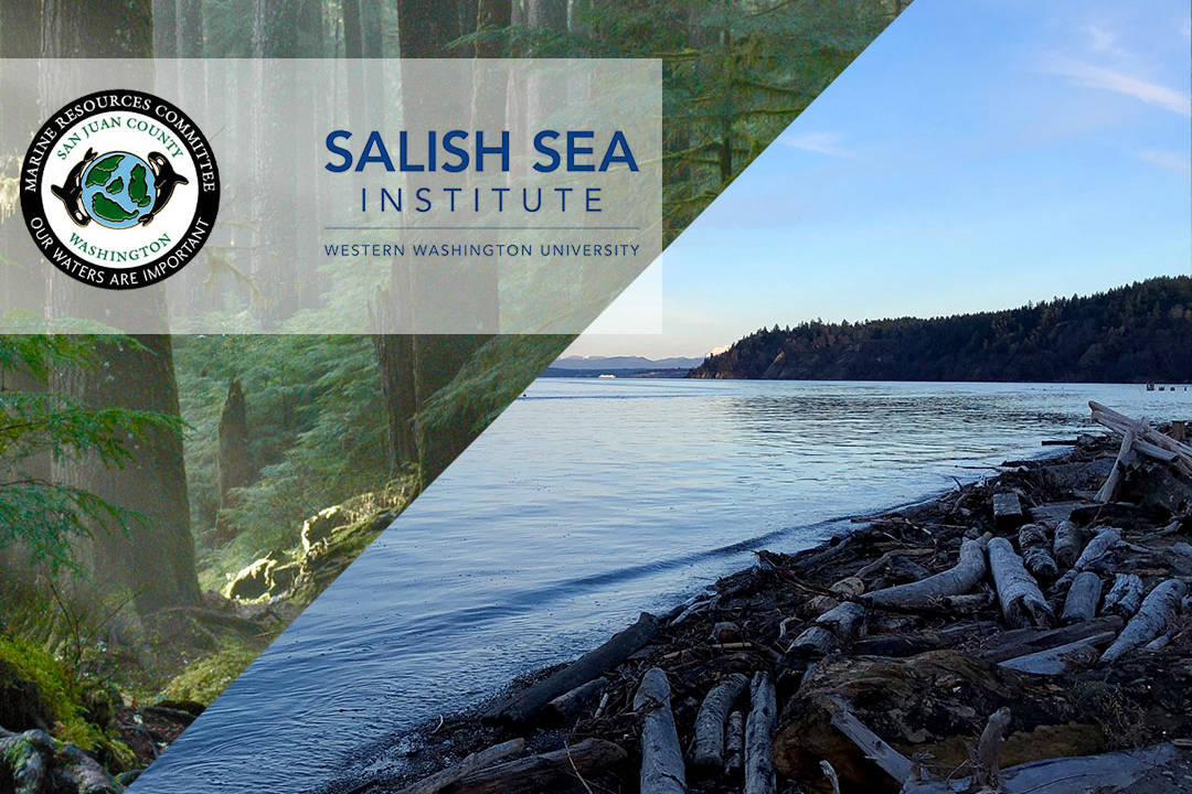Salish Sea Science Symposium: Implications of noise from navy aircraft ...