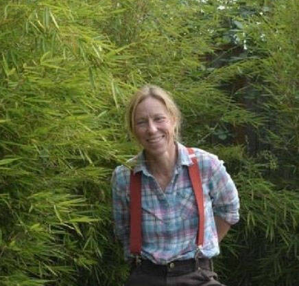 A Designed Pacific Northwest Native Meadow | Islands' Sounder