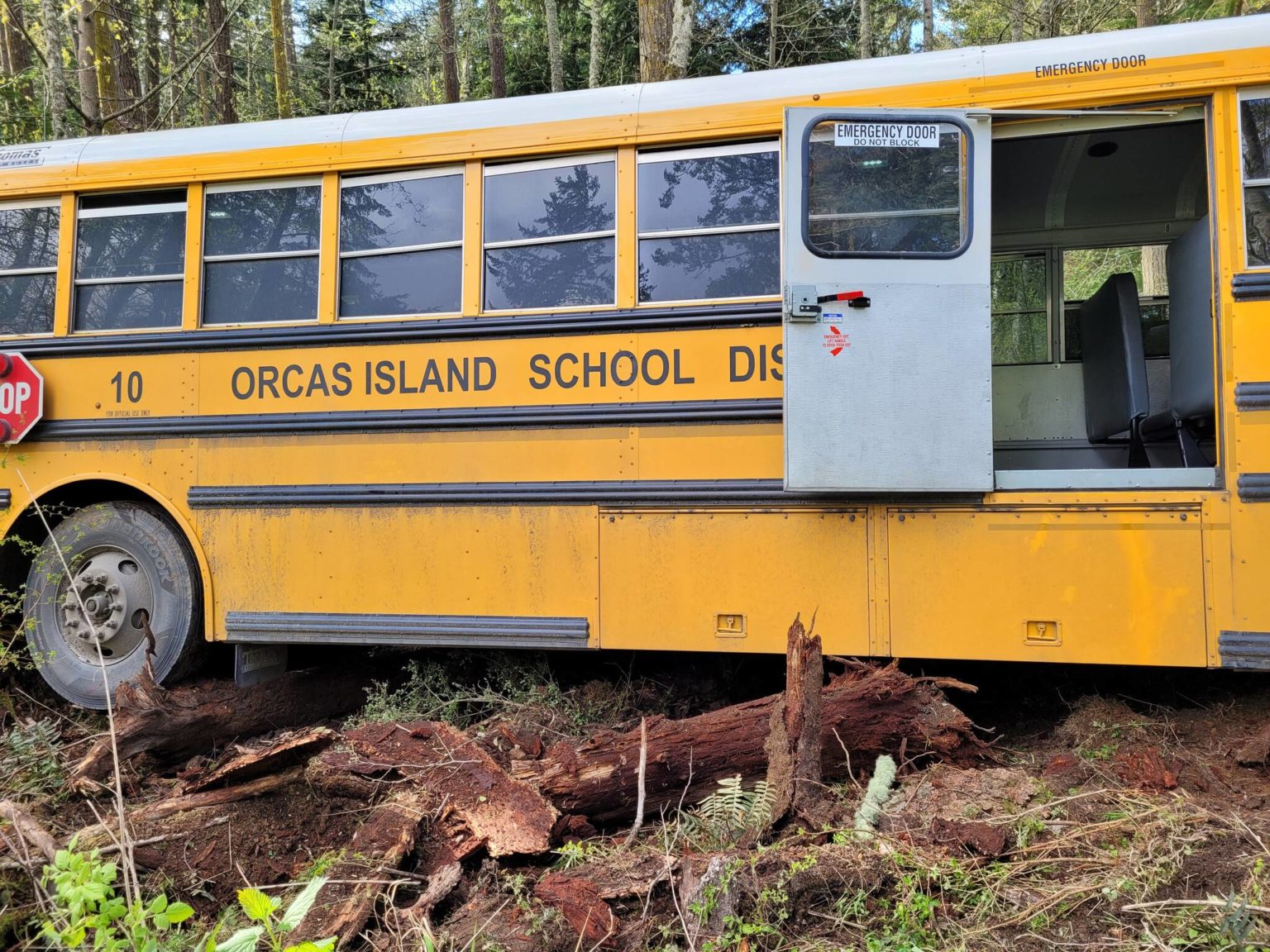 Orcas Island Schoolbus goes off the road | Islands' Sounder
