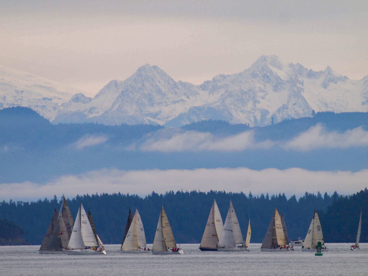 July Art Exhibit at the Orcas Island Library | Islands' Sounder