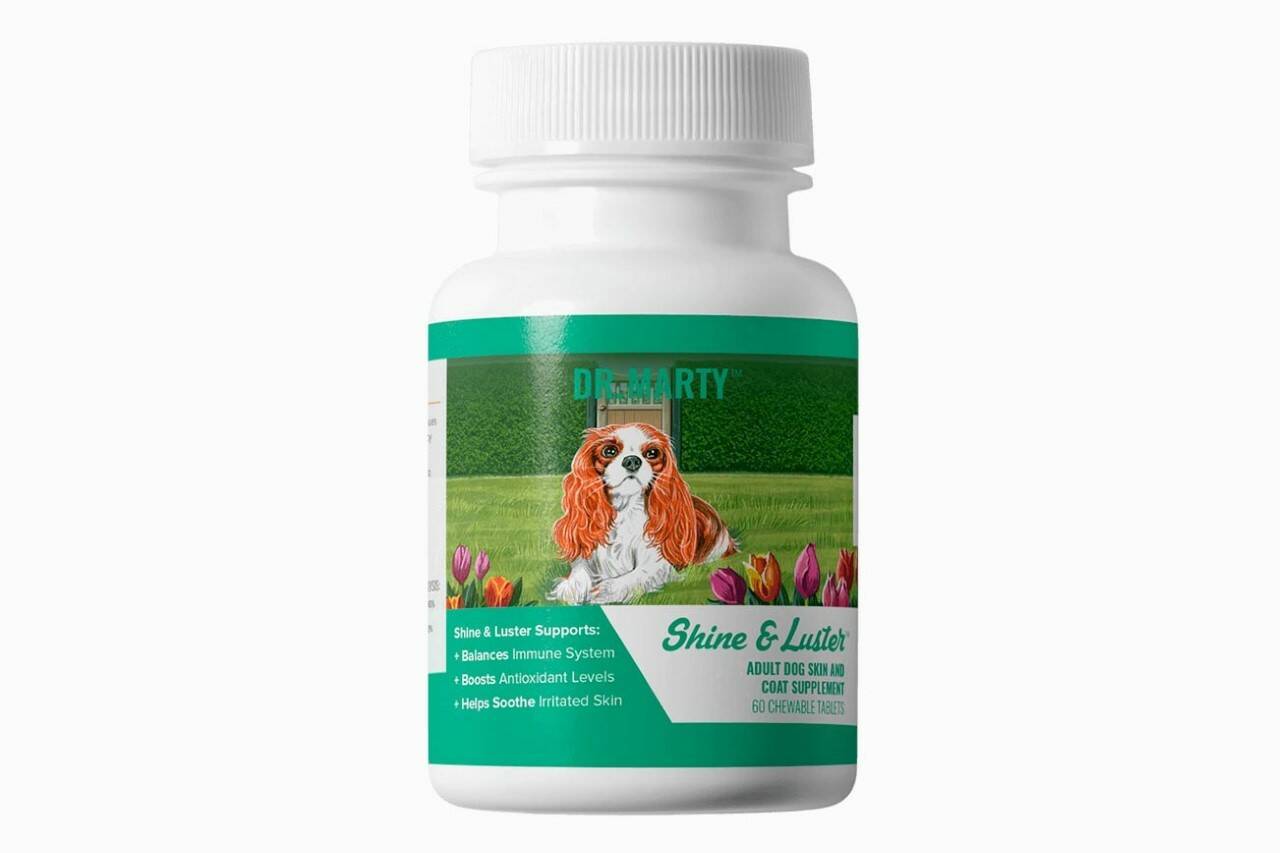 Dr. Marty ProPower Plus Reviews: Dog-Friendly Digestive Aid? | Islands ...