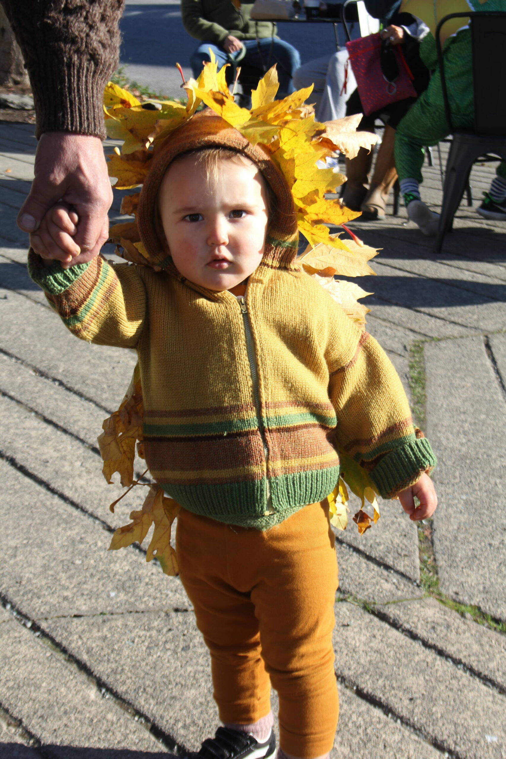 Celebrate Halloween on Orcas | Islands' Sounder