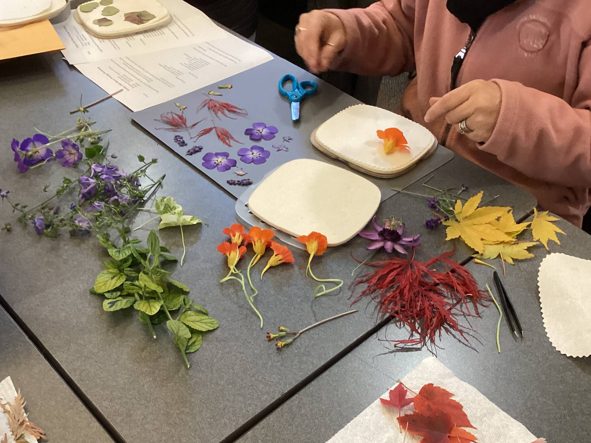 Leaf and flower pressing workshop | Islands' Sounder