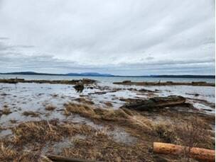 New year, new tides! | Islands' Sounder