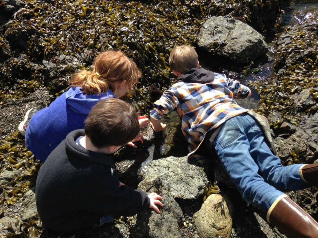 Earth Day Low Tide on the Eastsound Waterfront | Islands' Sounder