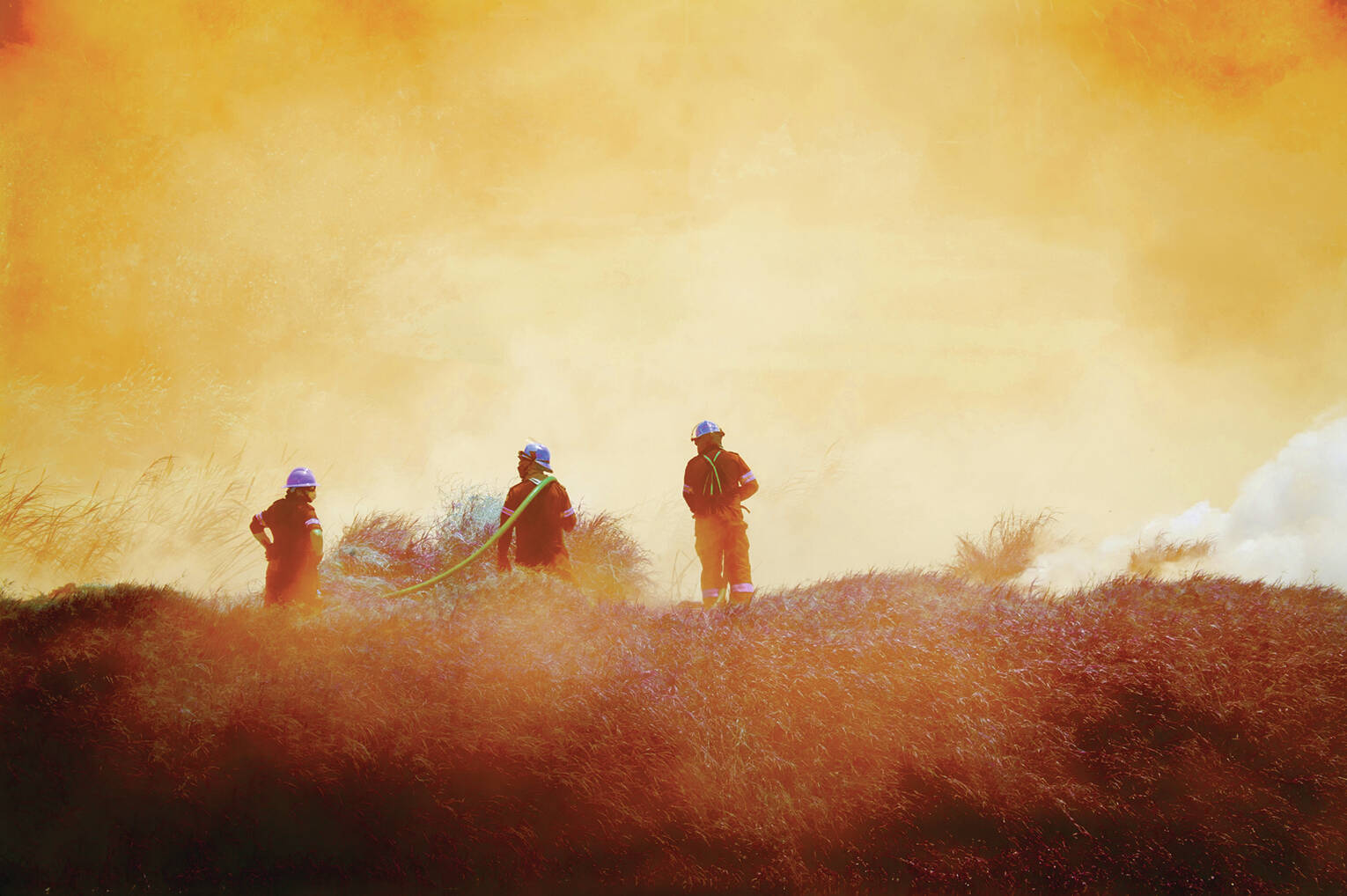 Wildland fire fighting training | Islands' Sounder