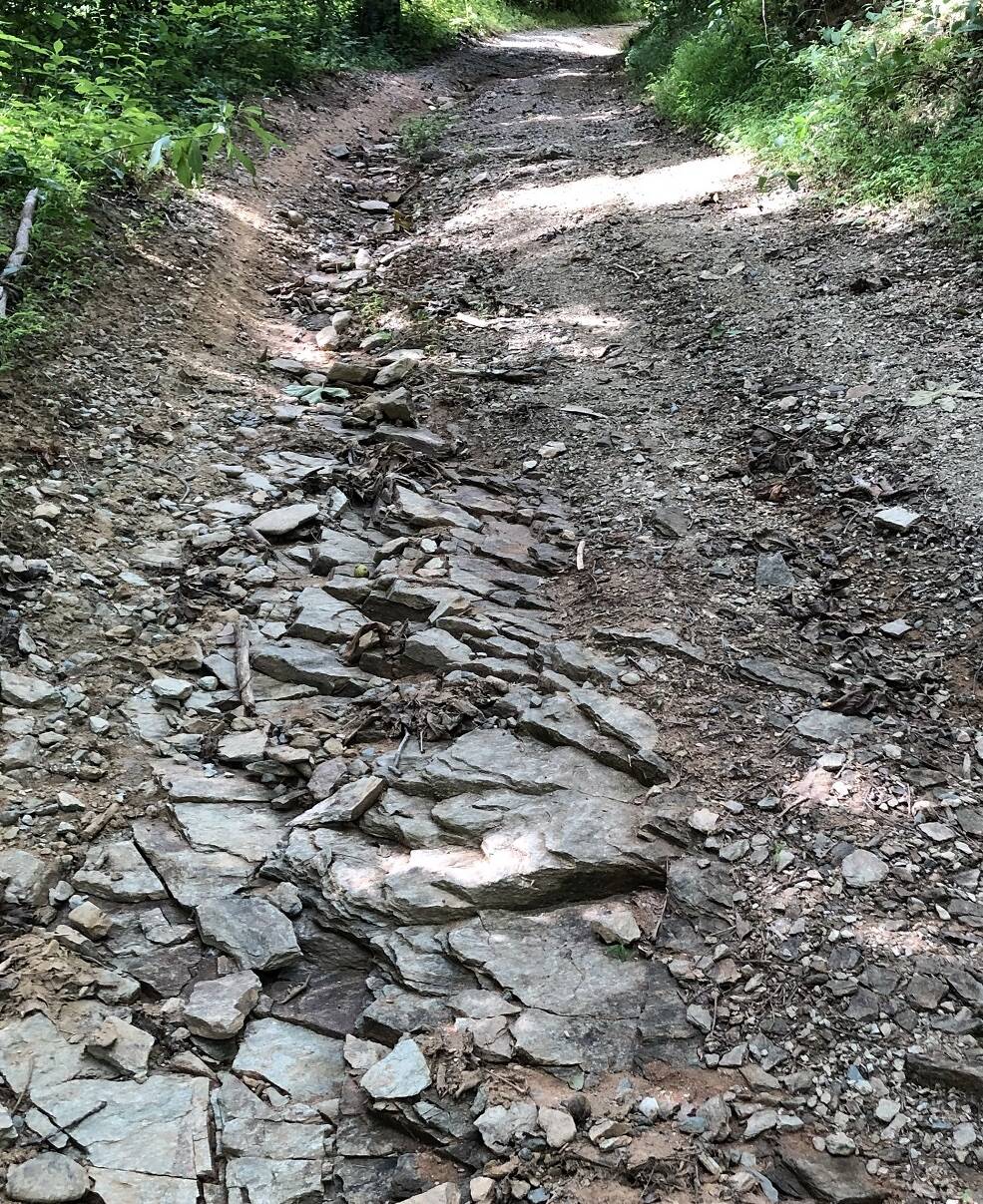 Turtleback Mountain Preserve temporary trail closures | Islands' Sounder