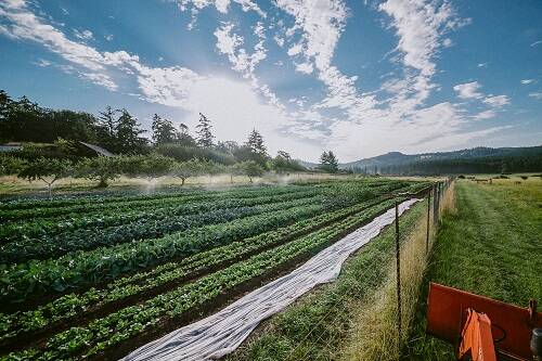 Ag Guild Announces Over $26,000 Available for FARM Fund Awards ...