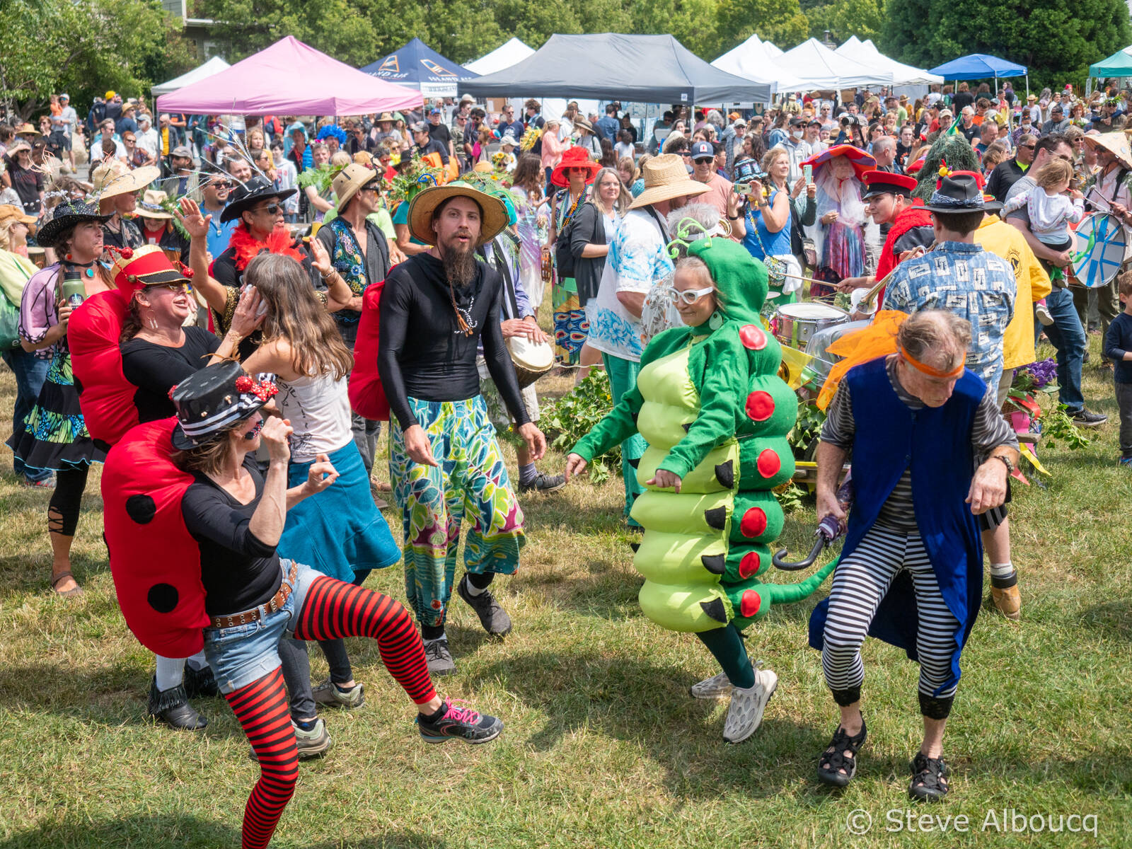 Solstice Parade 2023 photos | Islands' Sounder