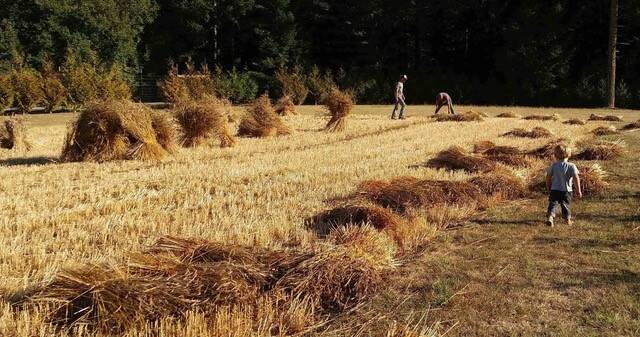 Land, legacy and food security on a small island | Islands' Sounder