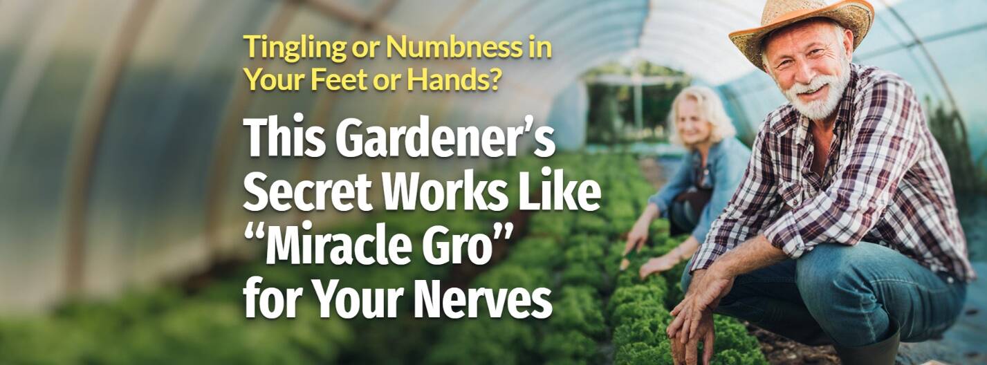 Primal Labs Advanced Nerve Support Review - Will It Work For You ...