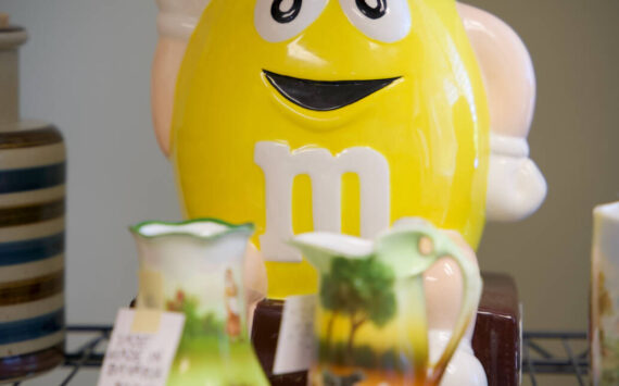 LEEFAR Her Juicy Probiotics Review – Can These Gummies Really Balance ...