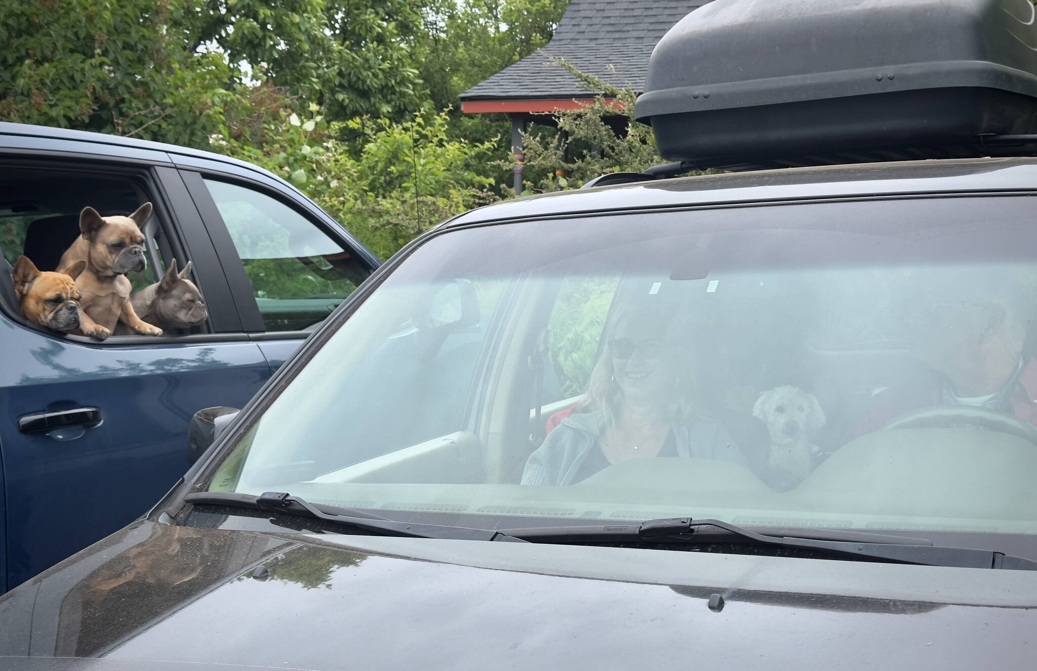 Island connections over lunch | Islands' Sounder