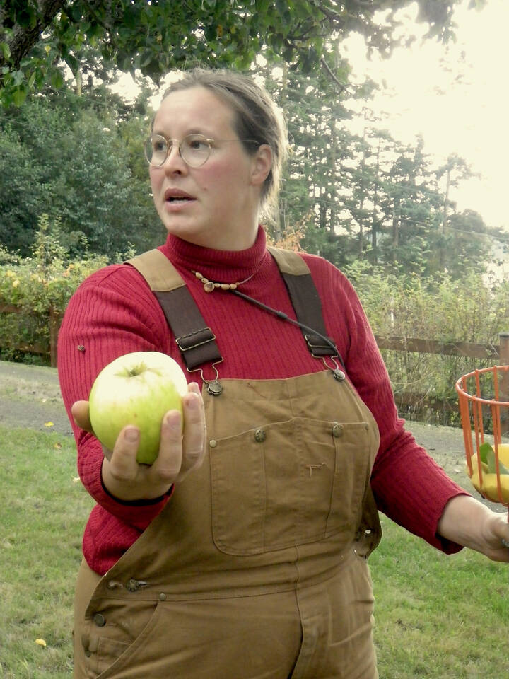Lost varieties, new opportunities | Orcas Island’s path back to apple ...
