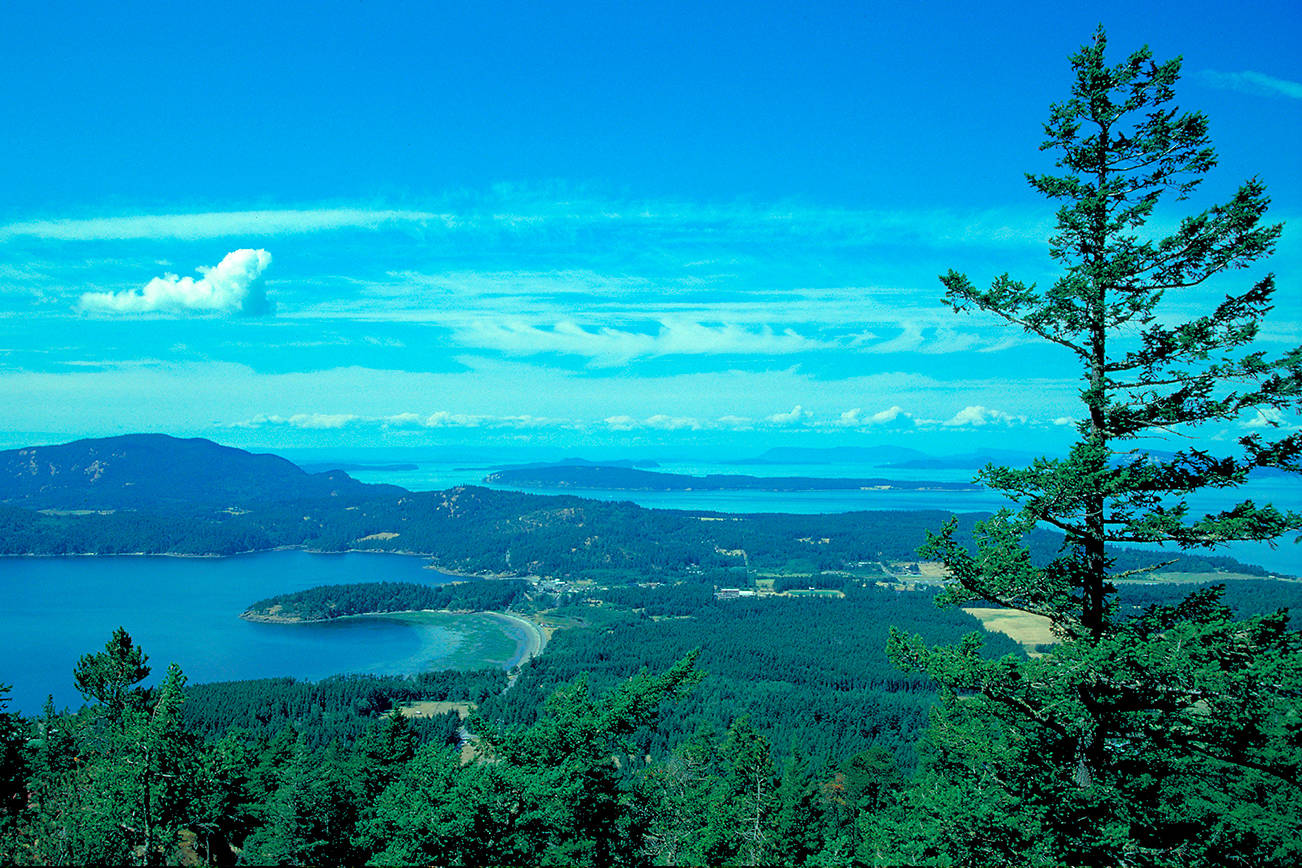A Lummi vision for Madrona Point | Islands' Sounder