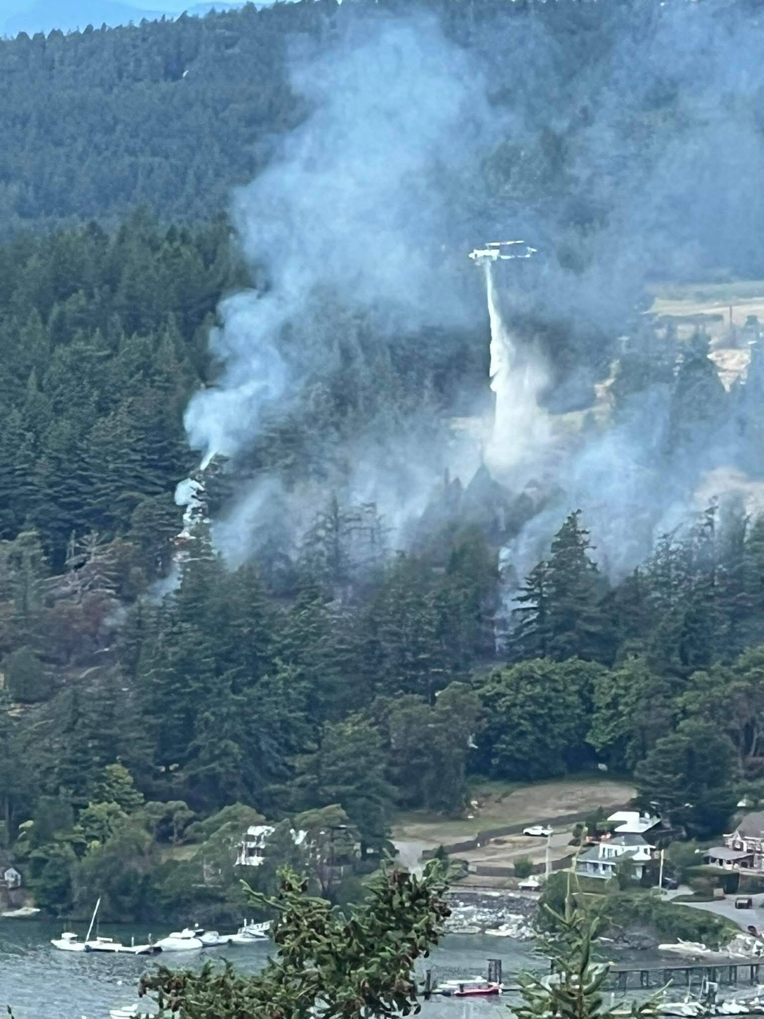 Wildland fire in West Sound contained | Firefighting ongoing | Islands ...