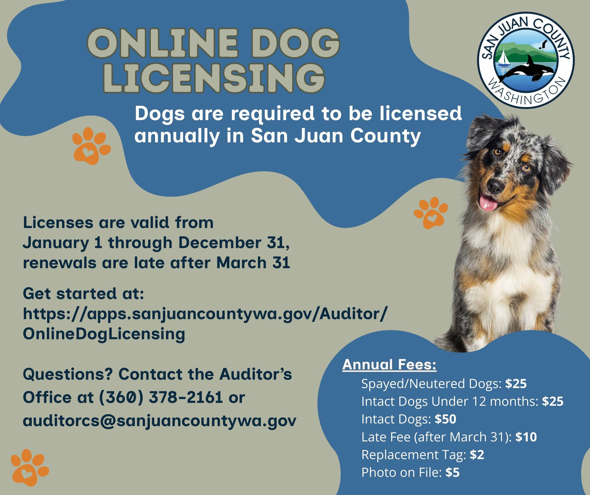 Online dog licenses renewal now available | Islands' Sounder
