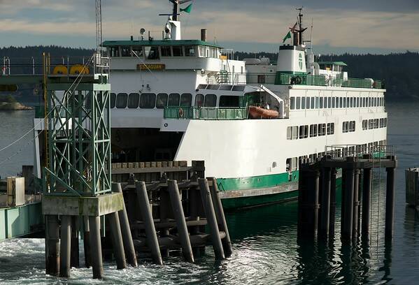 Ferry hopes adrift | Islands' Sounder